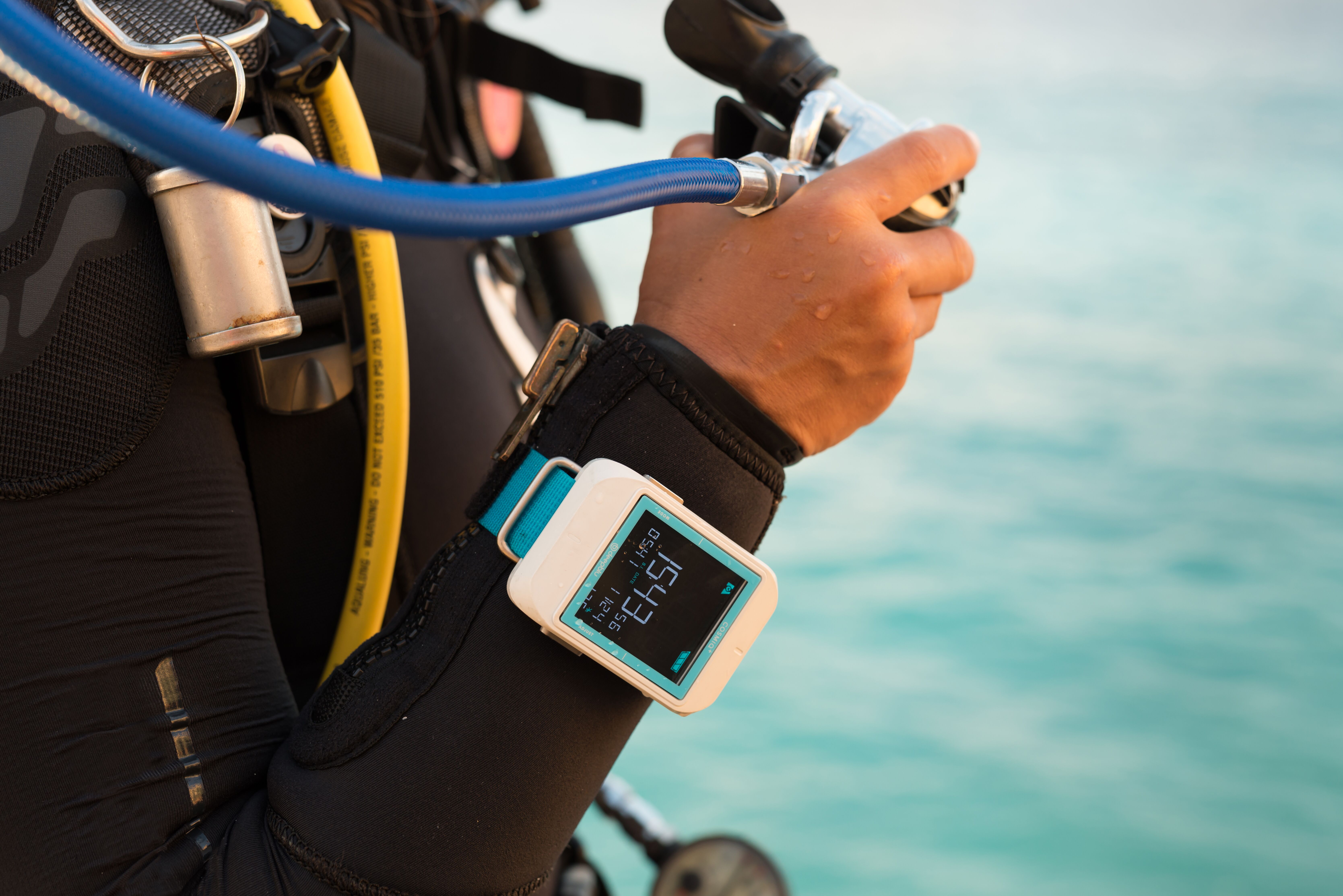 DeepBlu: Diving Into the Ocean with Hi-Tech - We Help NYC Startups